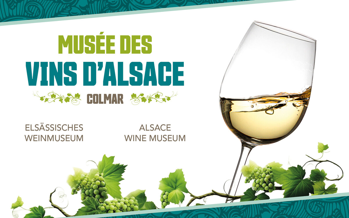 Les meilleurs vins Alsace : lesquels choisir ? On vous dit tout